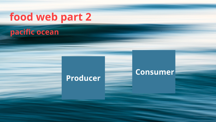 food web part 2 by Owen Tope on Prezi