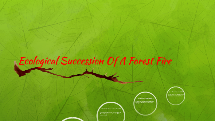 Ecological Succession Of A Forest Fire by Carolinda SimonEsteban on Prezi