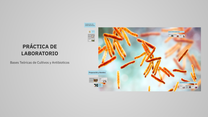 PRÁCTICA DE LABORATORIO by esther chai lópez on Prezi