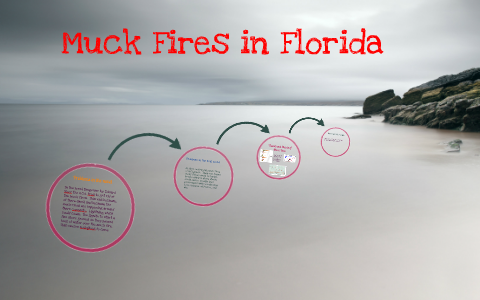 Muck Fires in Florida by Faythe Rodrigues on Prezi