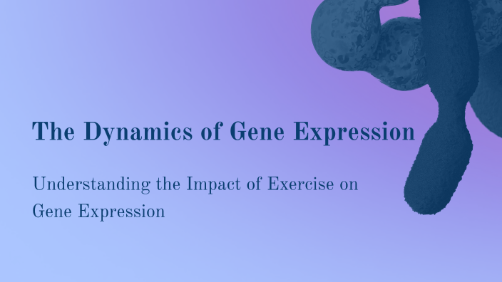 The Dynamics of Gene Expression in Exercise Physiology by Gabrielle ...