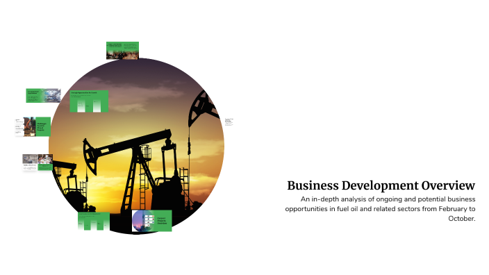 Business Development Overview by 01 01 on Prezi