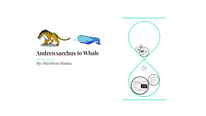 Andrewsarchus to Whale by Matt Pettus on Prezi