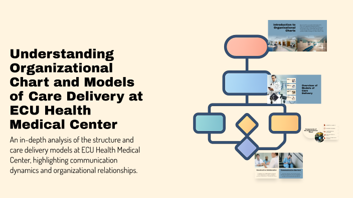 Understanding Organizational Chart and Models of Care Delivery at ECU ...