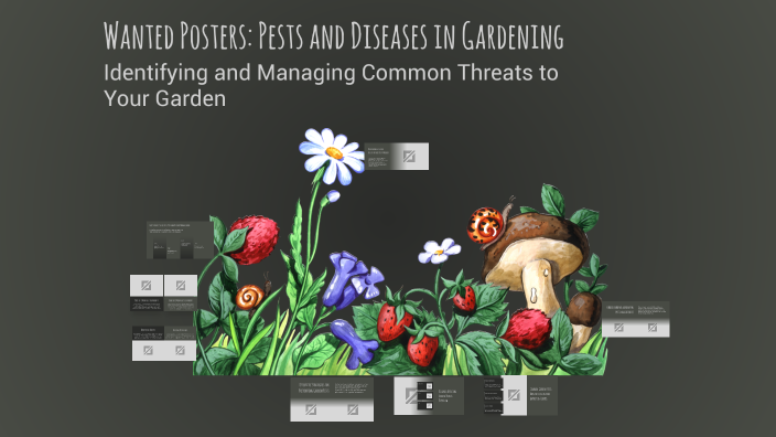 Wanted Posters: Pests and Diseases in Gardening by Eman Lakhani on Prezi