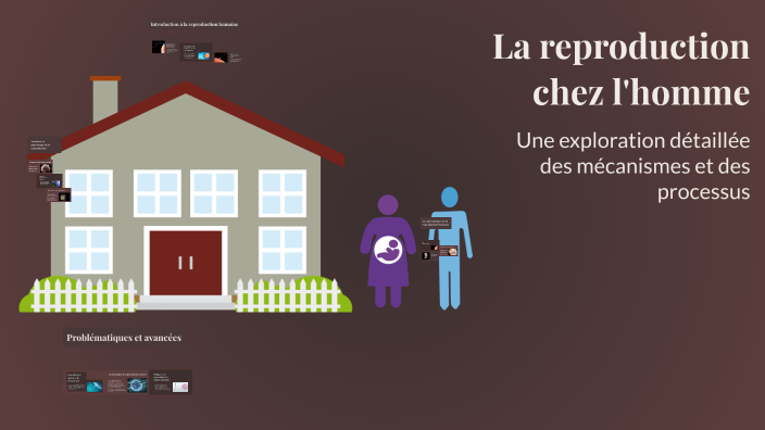 La reproduction chez l'homme by belkabir ayoub on Prezi