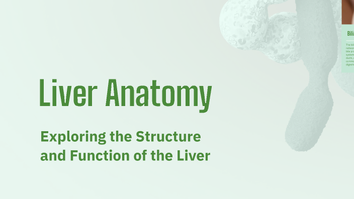 Liver Anatomy by fahad mutaiai on Prezi