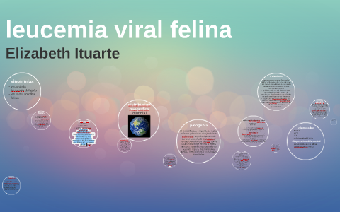 leucemia viral felina by elizabeth ituarte on Prezi