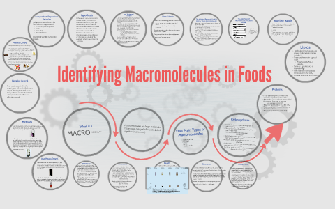 Identifying Macromolecules in Foods by Eberechi Ochuba on Prezi