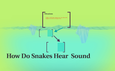 How Do Snakes Hear by Brant Room 109 on Prezi