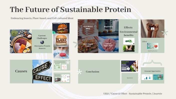 The Future of Sustainable Protein by 캣 미어 on Prezi