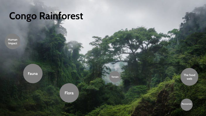 The Congo Rainforest by KEEGAN OBST on Prezi