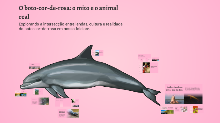 O boto-cor-de-rosa: o mito e o animal real by Erika Costa de Quadros on ...