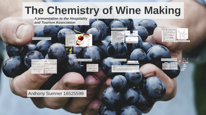 The Chemistry of Winemaking by Anthony Sumner on Prezi