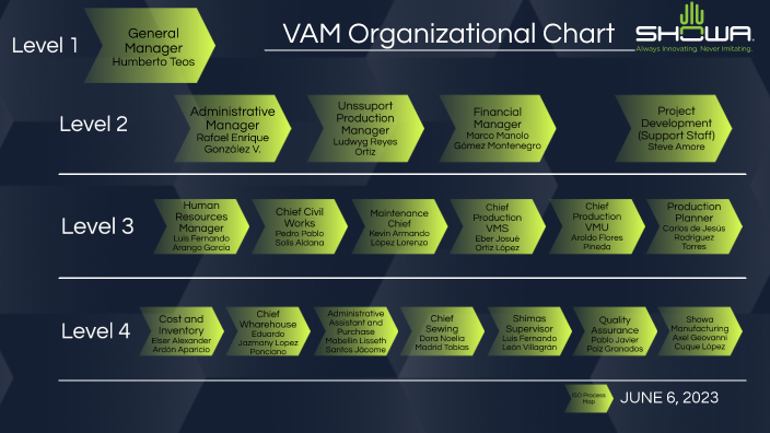 VAM Organizational Chart by Luis Garcia on Prezi