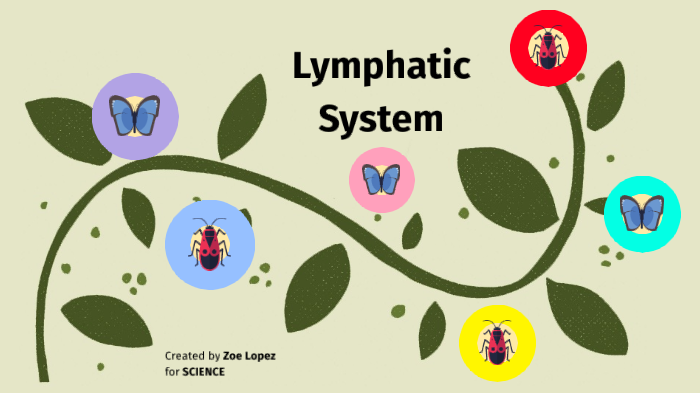 Lymphatic System Project by Zoe Lopez on Prezi