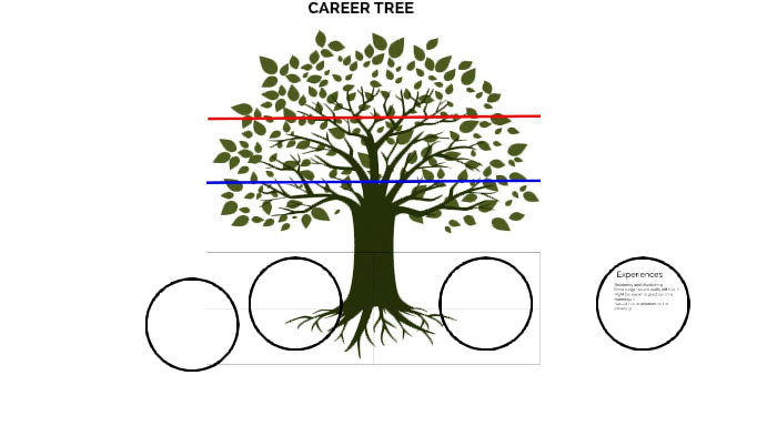 carrer tree by Pearl Agbor-Baiyee on Prezi