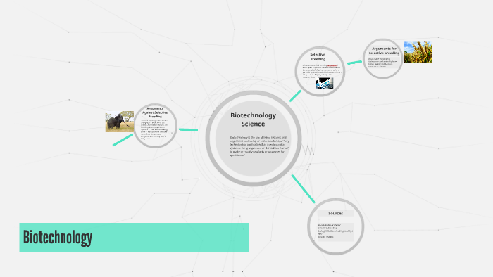 Biotechnology - Selective Breeding by Joshua McCreanor on Prezi