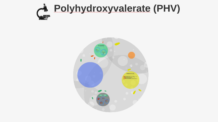 Polyhydroxyvalerate by Ryan van Nesch on Prezi