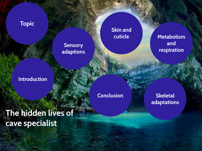 Cave adaptations by Sara Durand on Prezi