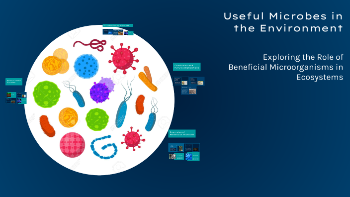 Useful Microbes in the Environment by Merin George on Prezi