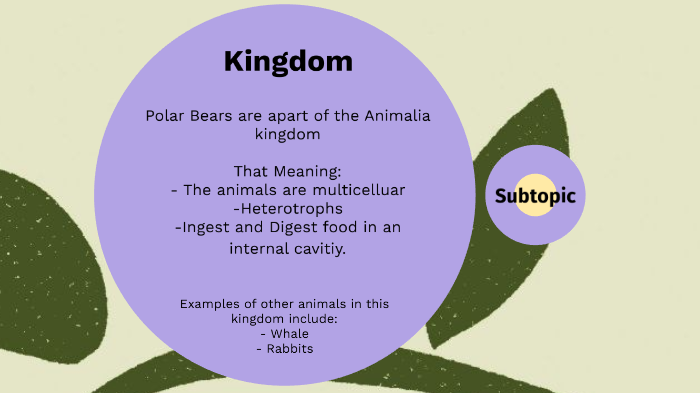 Classification Tree For Polar Bears by Nathaniel Dickey on Prezi