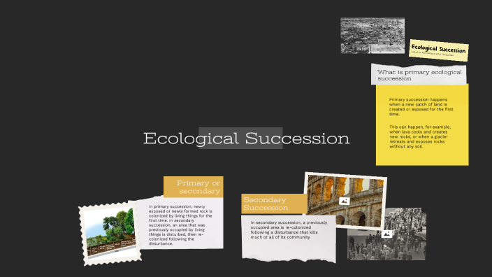 Ecological Succession Project by JaJuan Snyder on Prezi