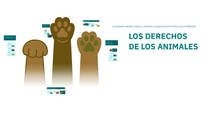 Derechos de los Animales by lacasitos comunes on Prezi