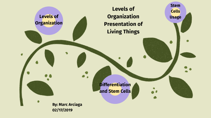 Levels of Organization Presentation of Living Things by Golden ...