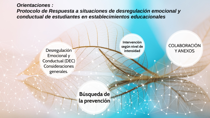 Orientaciones Protocolo De Respuesta A Situaciones De Desregulación