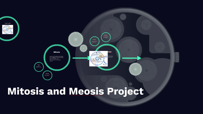 Mitosis and Meosis Project by shareef wicks on Prezi