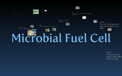 Microbial Fuel Cell Presentation by Mikayla Sharp on Prezi