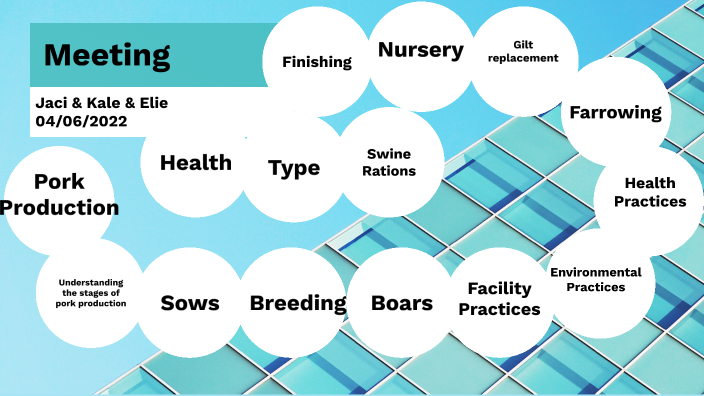 The stages of Pork Production by Jaci Gower on Prezi
