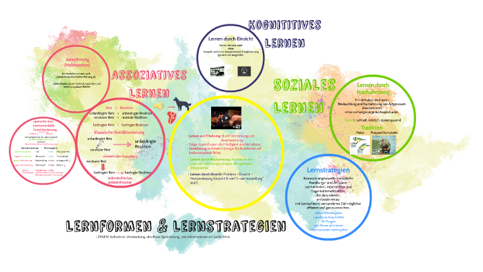 Lernformen & Lernstrategien by Baris Öz on Prezi