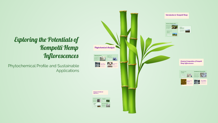 Exploring the Potentials of Kompolti Hemp Inflorescences by Francesca ...
