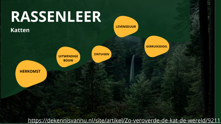 Dierenkennis: Rassenleer - De Kat by justien baeck on Prezi