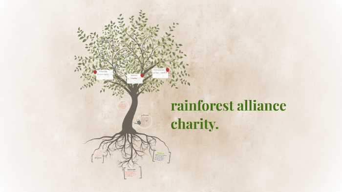 Charity for deforestation by craig estabon on Prezi