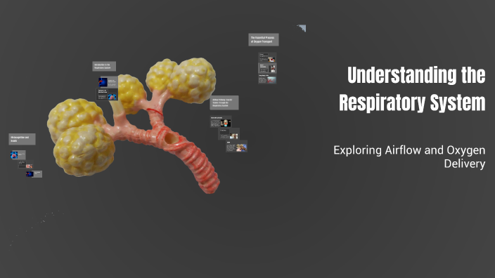 Understanding the Respiratory System by Checklist on Prezi