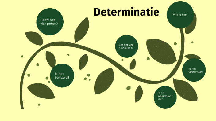 Determinatie by Neel Camertijn on Prezi