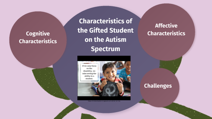 Understanding Gifted and Talented Students on the Autism Spectrum by ...