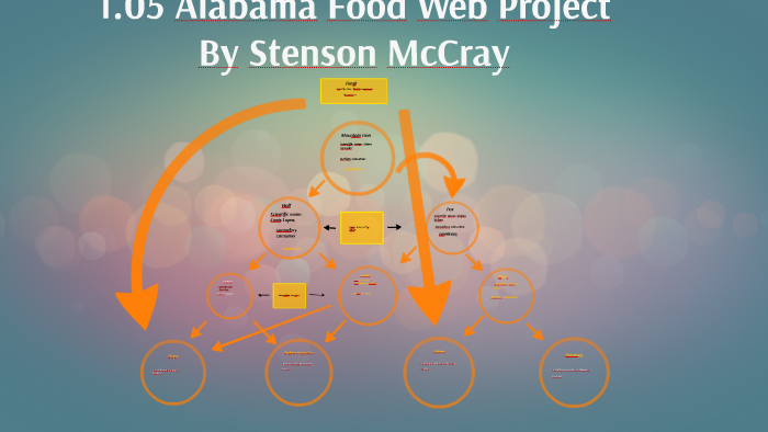 1.05 Alabama Food Web Project by Georgianna Hall on Prezi