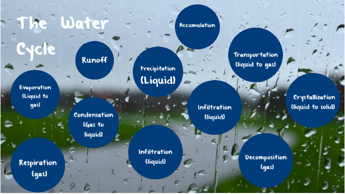 The Water Cycle by Isabella Basterash on Prezi