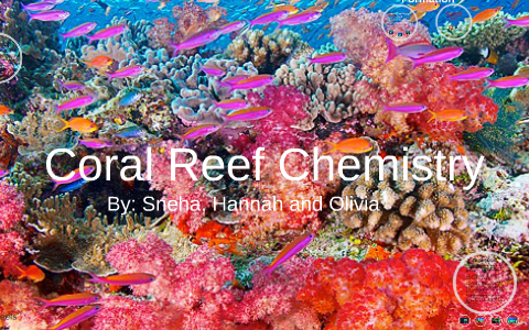 Coral Reef Chemistry by Hannah Lee on Prezi
