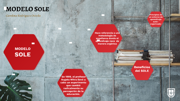MODELO SOLE by Carolina Rodriguez Oviedo on Prezi