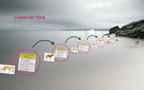 Evolution der Pferde by Uni Corn on Prezi
