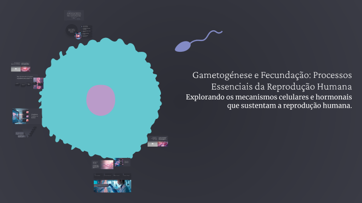 Gametogénese e Fecundação: Processos Essenciais da Reprodução Humana by ...