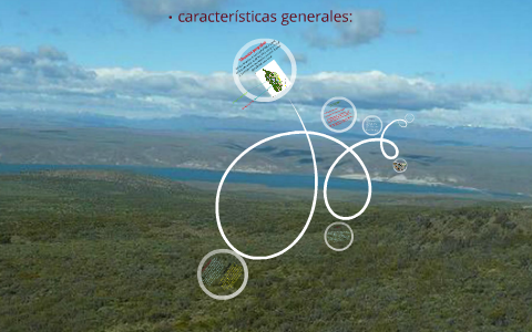 Estepa: ubicación by Susi Juanico on Prezi