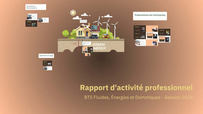 Rapport d'activité professionnel by alexandre raoux on Prezi