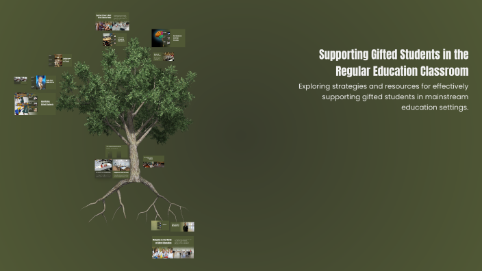 Supporting Gifted Students in the Regular Education Classroom by Brooke ...