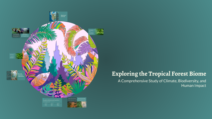 Exploring Tropical Forests: A Biome Investigation by Anthony Dávila ...